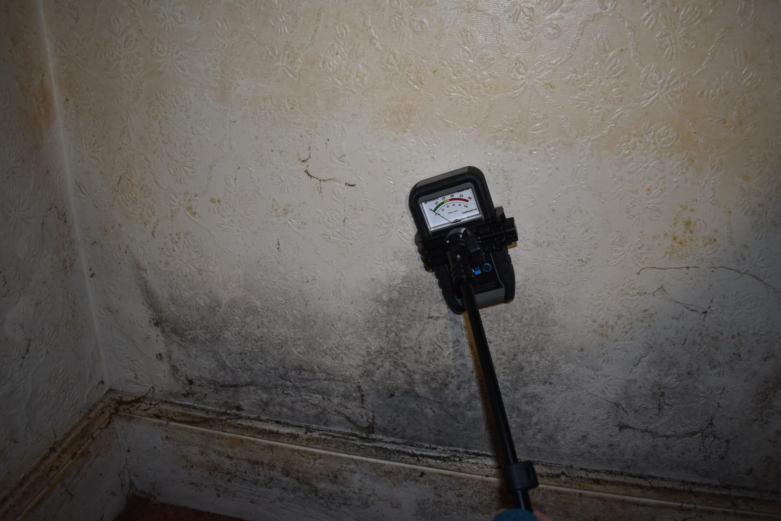 Understanding damp issues in homes: causes and solutions